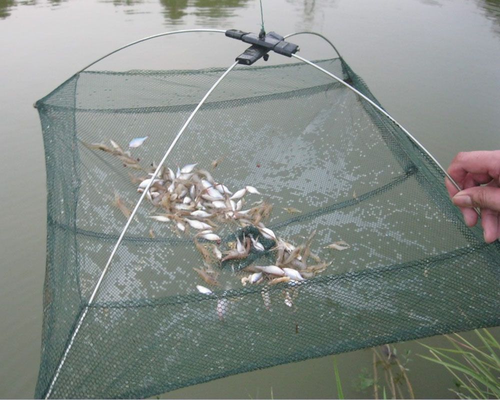 Best 60*60cm Foldable Fishing Net Shrimp Crab Trap Nylon Fishing ...