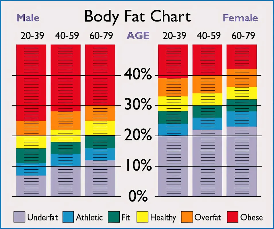 the-ultimate-guide-to-body-fat-percentage-charts-how-to-use-interpret