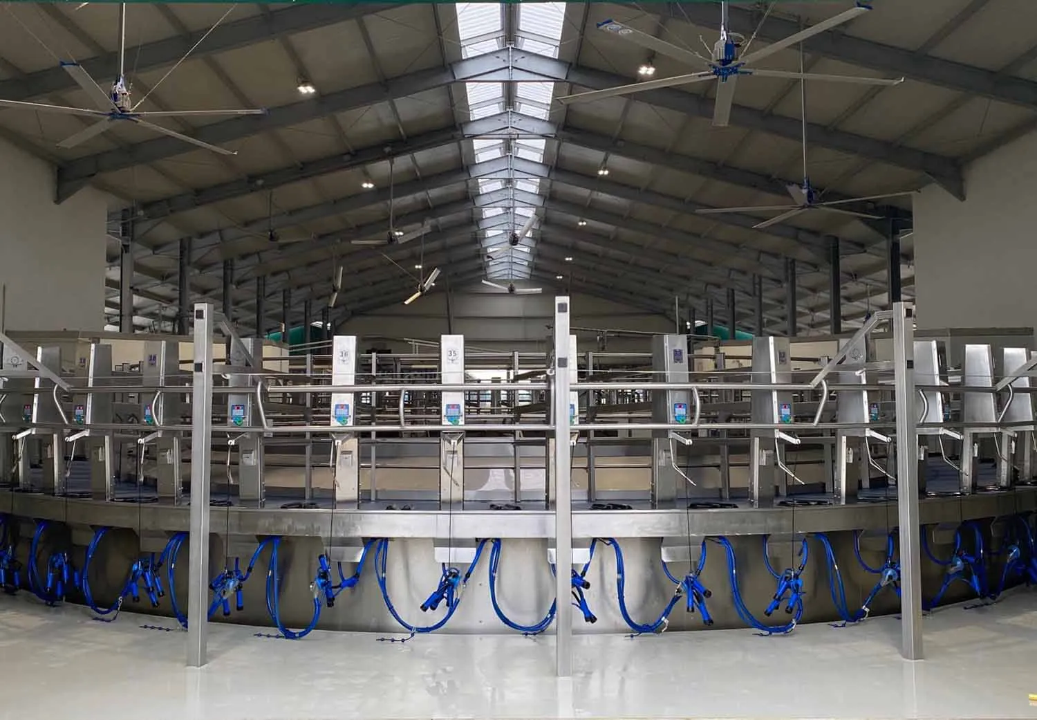 Milking Parlor Design How to Optimize Your Dairy Farm Efficiency Milking Parlor Design How to Optimize Your Dairy Farm Efficiency