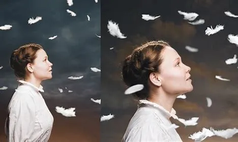 Uncovering the Hidden Meanings in the White Feather Movie