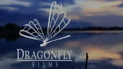 Blog Question The Ultimate Guide to Dragonfly Movie Its Origins, Popularity, and Impact