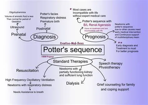Unraveling the Potter Sequence A Guide to Navigating Shopping Deals Like a Pro