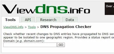 Why Every Website Owner Needs a DNS Checker Benefits