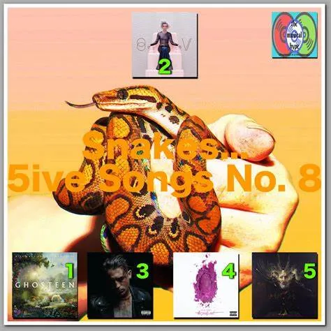 Encuentre su inspiración para comprar con la fascinante canción de la serpiente