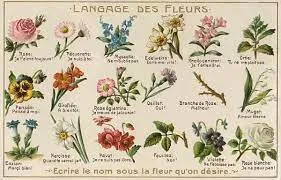 Le langage des fleurs