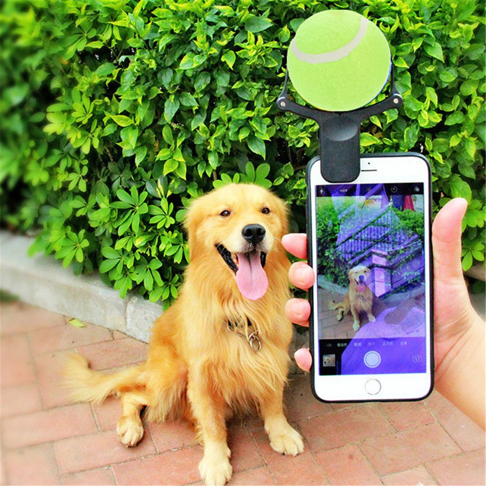 pet camera ball Cheaper Than Retail Price> Buy Clothing, Accessories ...