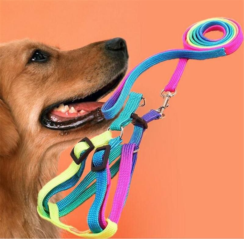 ful Rainbow Pet Dog Collar Harness Leash Soft Walking Harness Lead ...