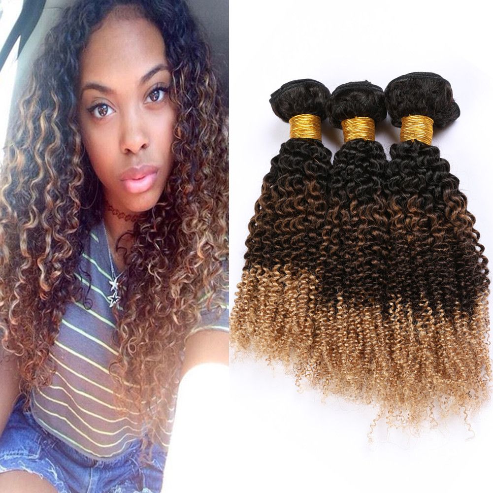 #1B 4 27 Ombre Peruvian Human Hair Weave Bundles Kinky Curly Virgin ...
