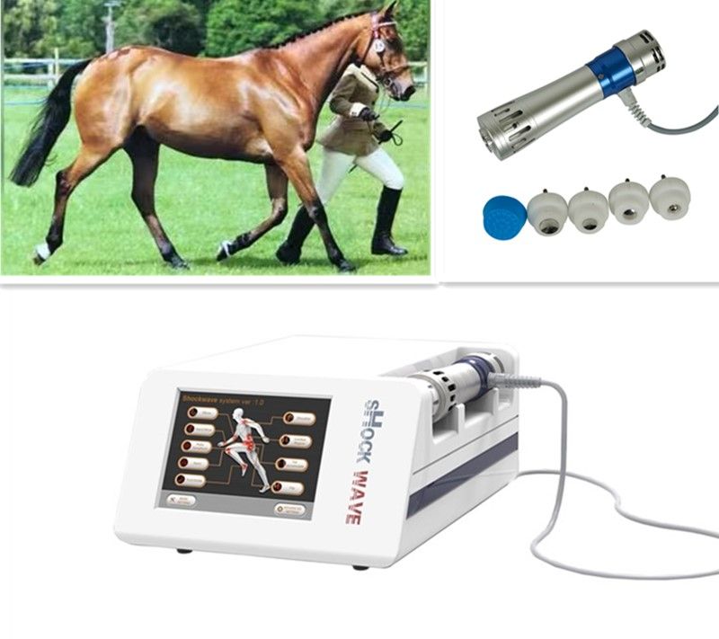 Veterinary Instrument Horses Equine Shock Wave Therapy Equipment For ...