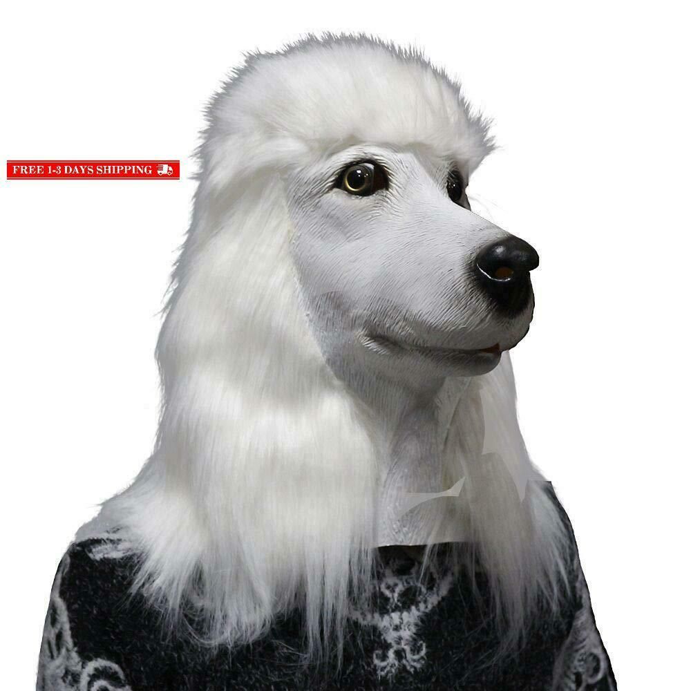 Who Is The Poodle On The Mask