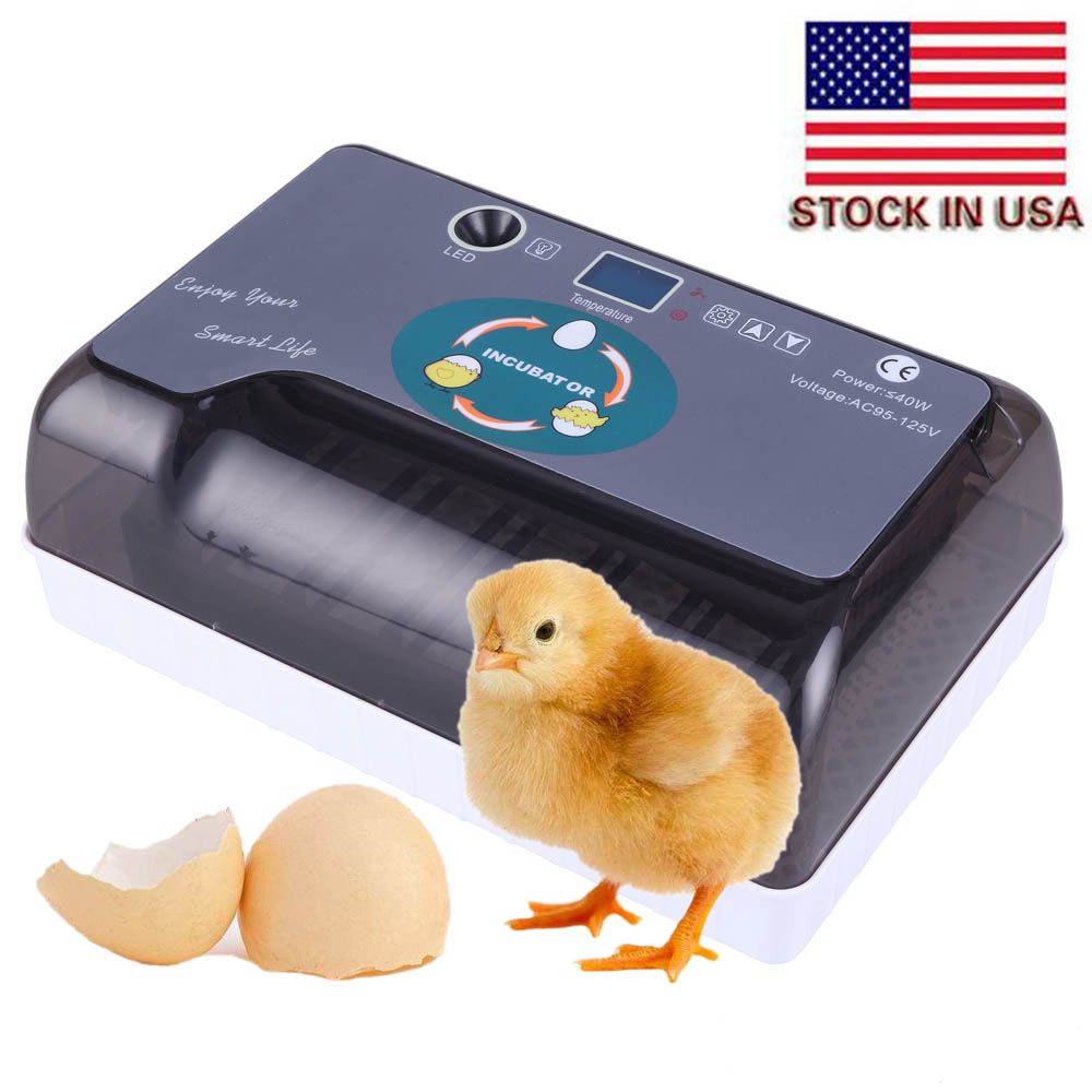 12 Poultry Fully Automatic Incubator Egg Hatching Machine Top Cover Egg ...