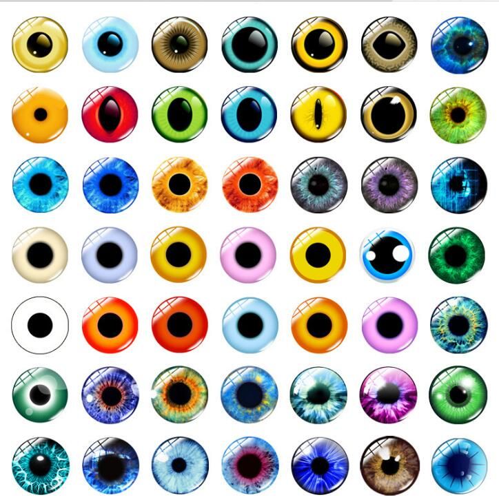 Brand: EyeCraft Type: DIY Jewelry Accessory Specs: Animal Inspired ...