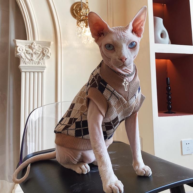 Tatty Sphynx Cat Clothes