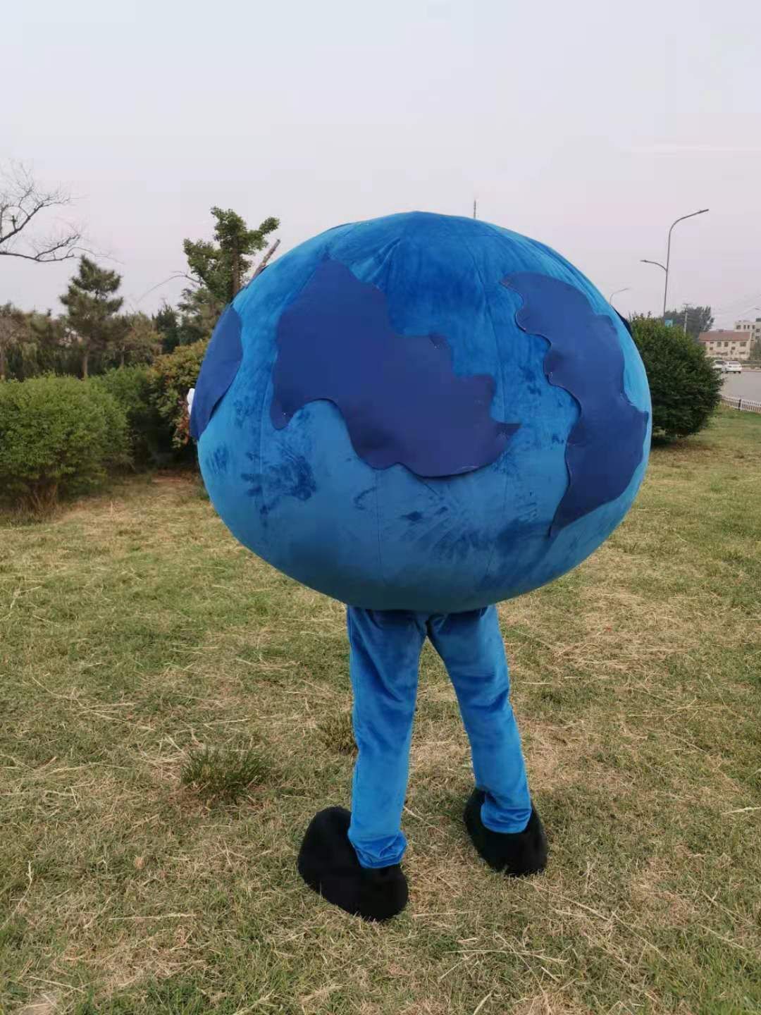 Planet Earth Costume