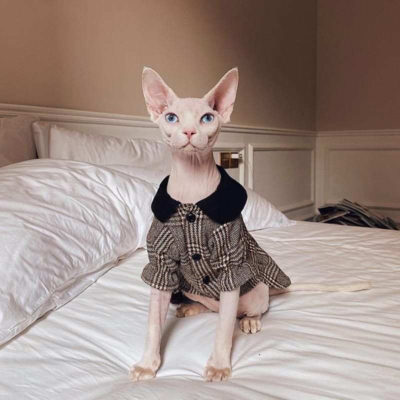 Tatty Sphynx Cat Clothes