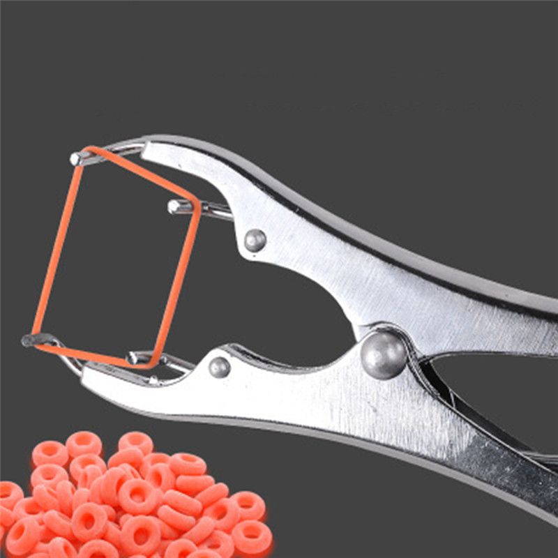 Tail Removal Pigs And Sheep Castration Pliers And Particulate Rubber ...