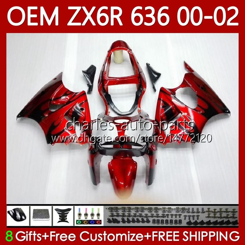 Injection Body For KAWASAKI NINJA ZX 6R 600 CC 6 R ZX636 ZX 600 00 02 ...