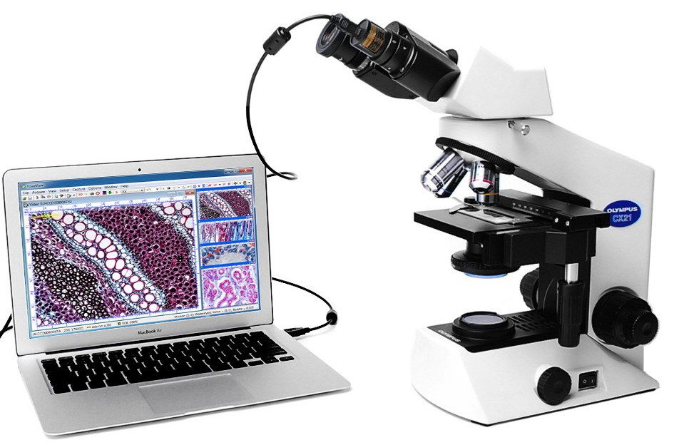 Best And Cheapest Microscope And Accessories USB2.0 5.0MP Digital ...