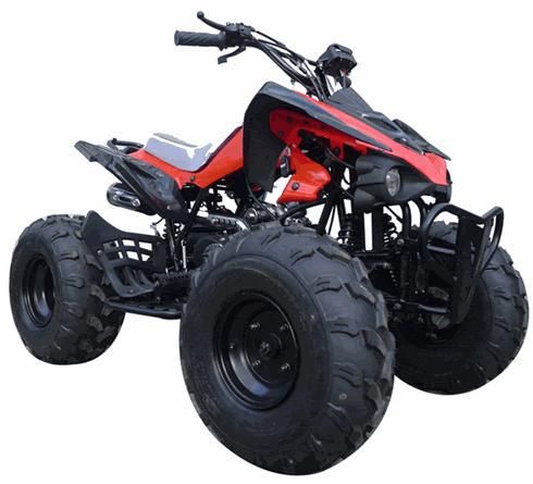 Panther 150cc Atv
