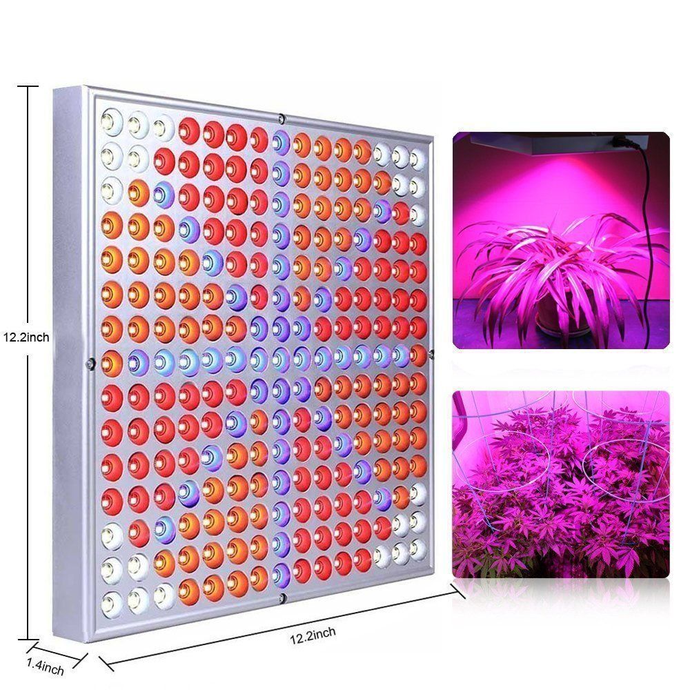 Multi Spectrum LED Grow Light For Plant Blue And Red Growth And ...