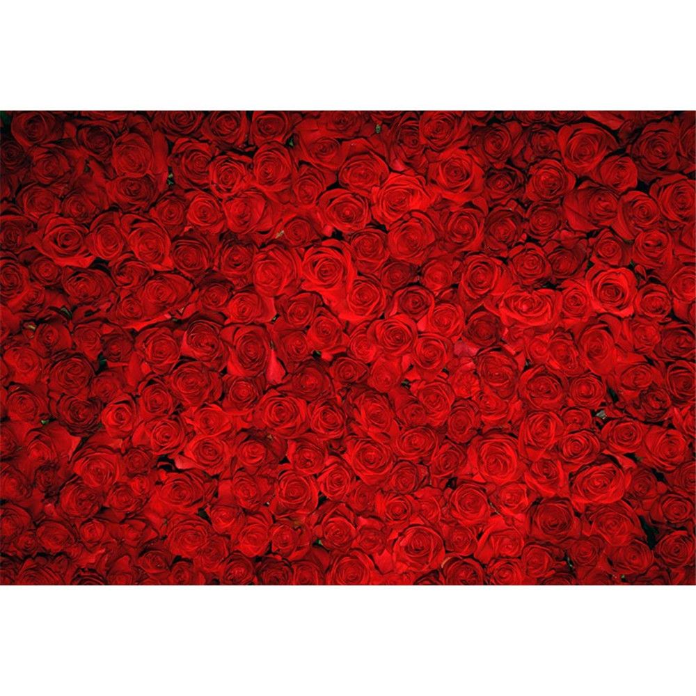 2021 Digital Printed Red Roses Backdrop For Photography Valentines Day ...