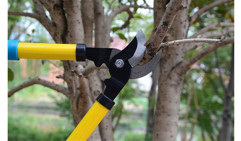 Gardening Pruning Scissors Flowers Trees Trimmer Hedge Shears Shrubs ...