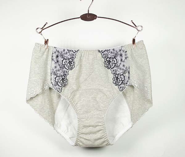 Plus Size Womens Period Leak Proof Underwear Menstrual Panties