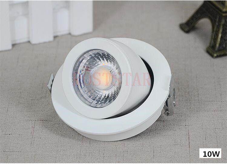 10W/20W/30W/40W LED Trunk Downlight COB Ceiling AC85 265V Adjustable ...