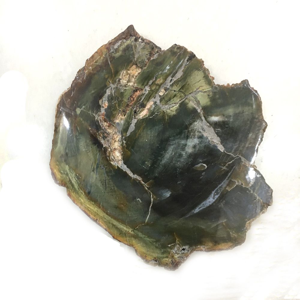 2020 Natural Xylopal Fossil Slice Plate Crystal Tree Wooden Jade ...
