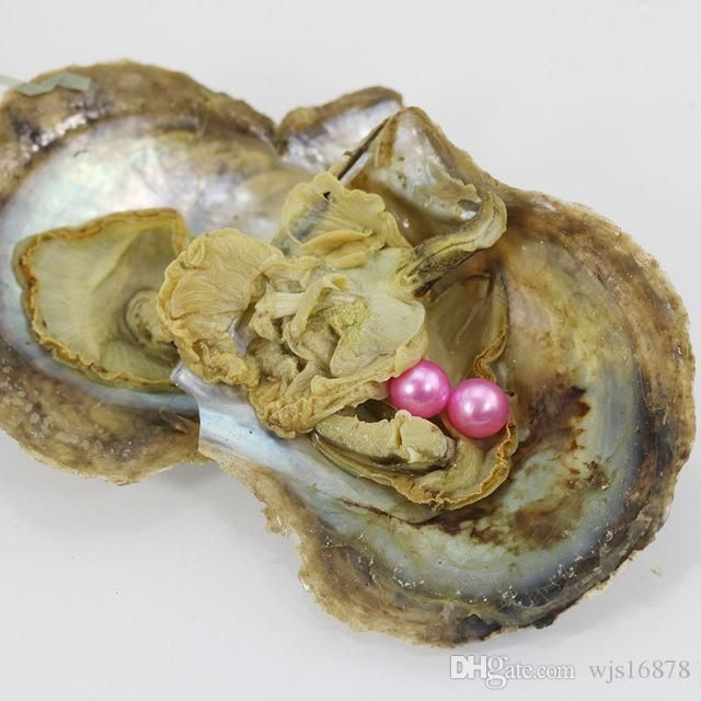 2020 DIY Akoya Oyster Twins Pearl 6 7MM Round Seawater Pearl In Oysters ...
