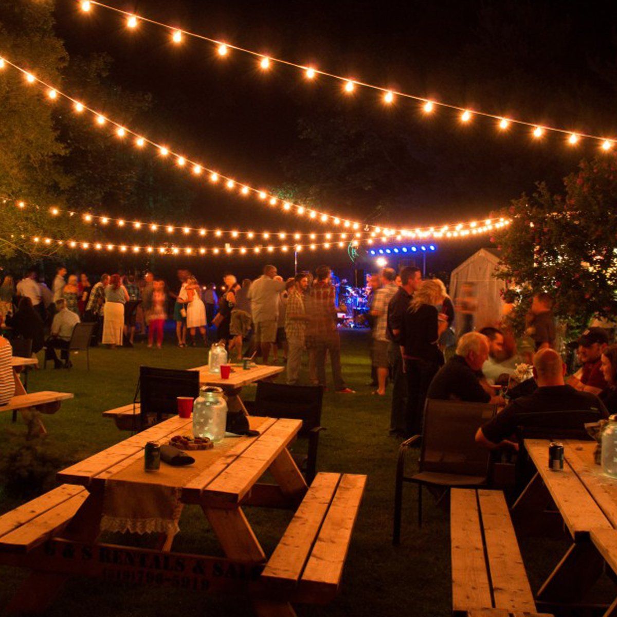 G40 Led Outdoor String Lights | Shelly Lighting