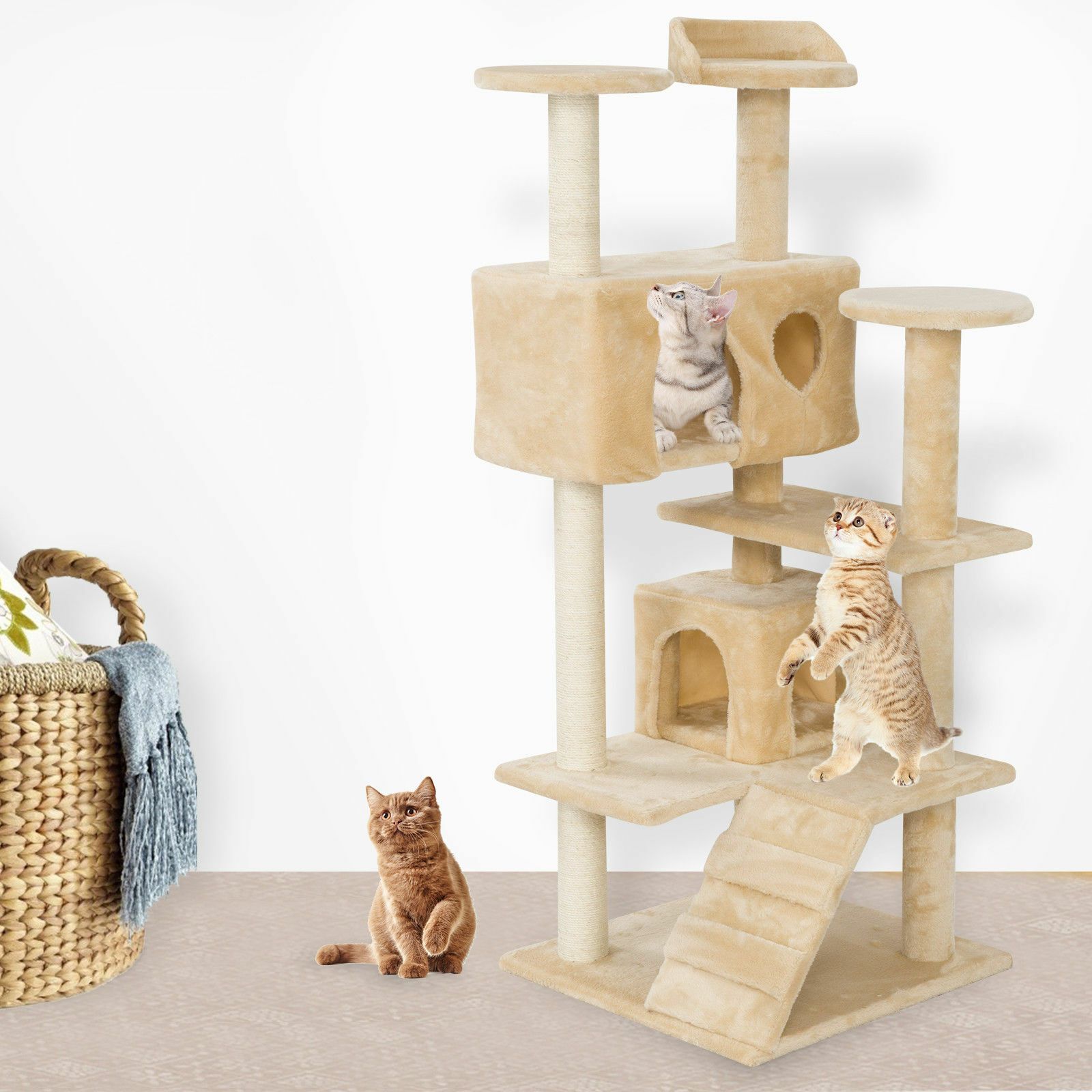 Cat Climbing Towers