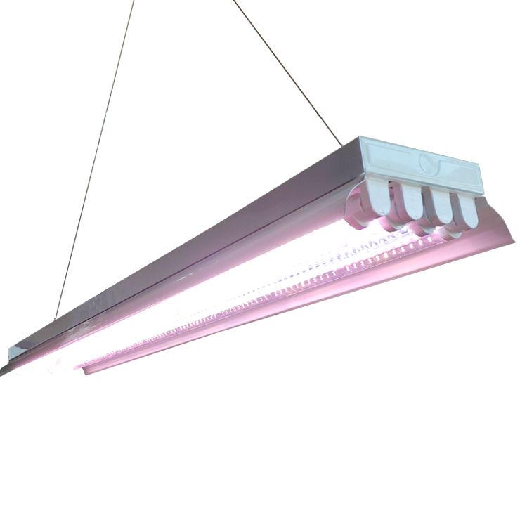 Subrayar amistad Locura cubre tubos fluorescentes vendaje Cerveza té