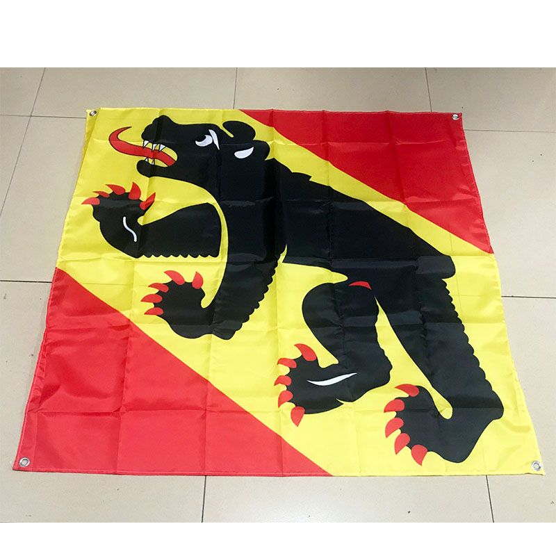 2020 Bern Switzerland Flag 4*4ft 120cm*120cm Polyester Flag Banner ...