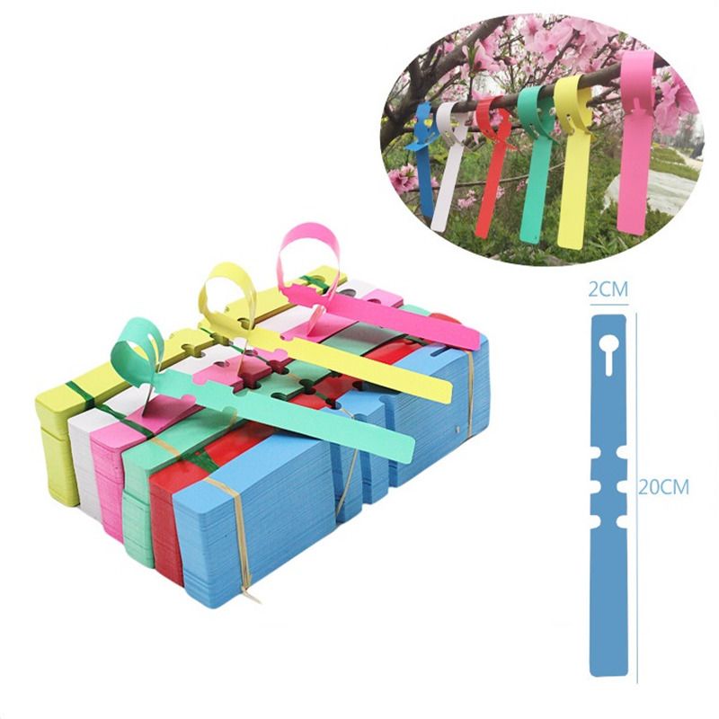 Reusable PVC Plants Hang Tag Labels Tree Fruits Seedling Garden Flower ...
