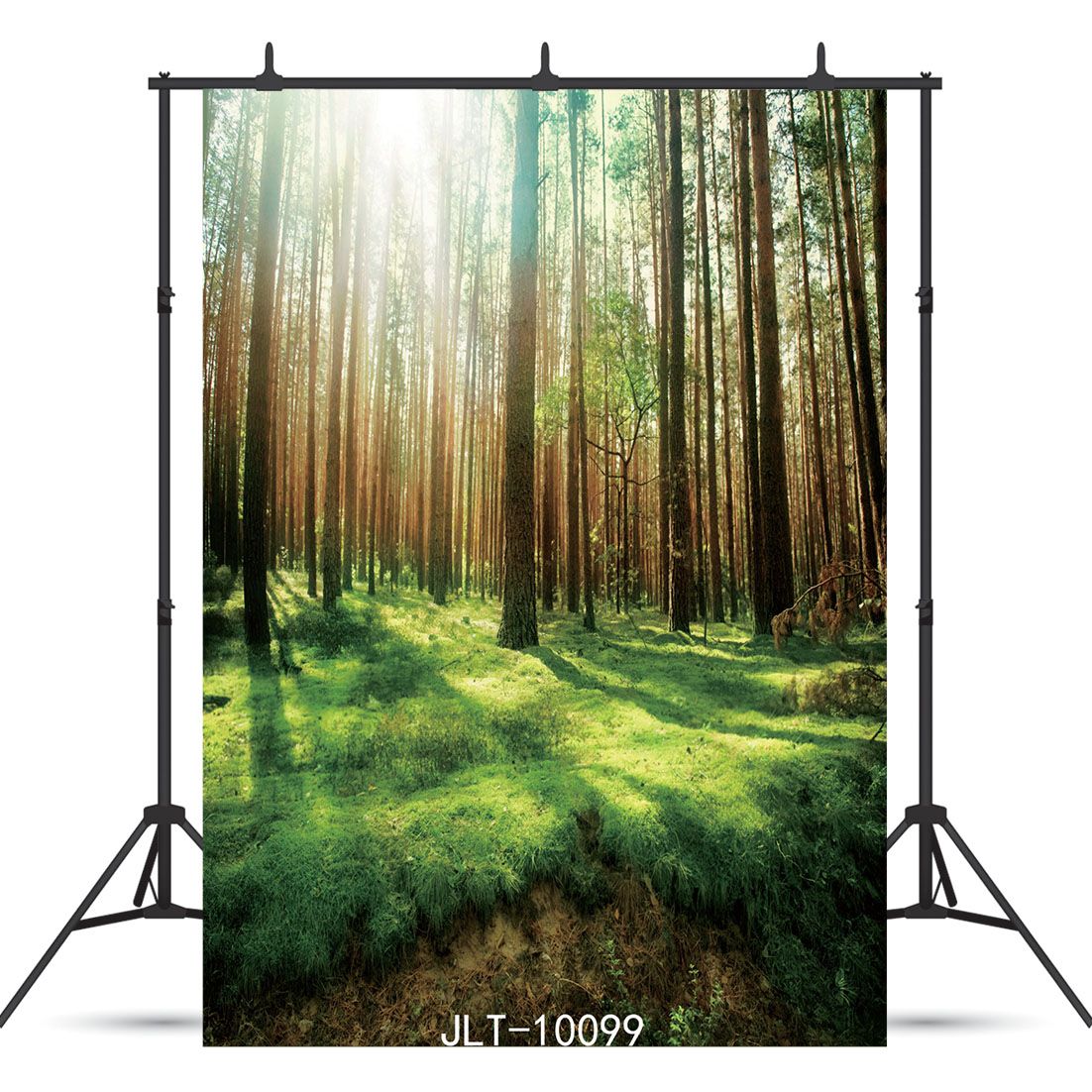 Buy Dropshipping Background Material Online, Cheap Sunlight Forest ...