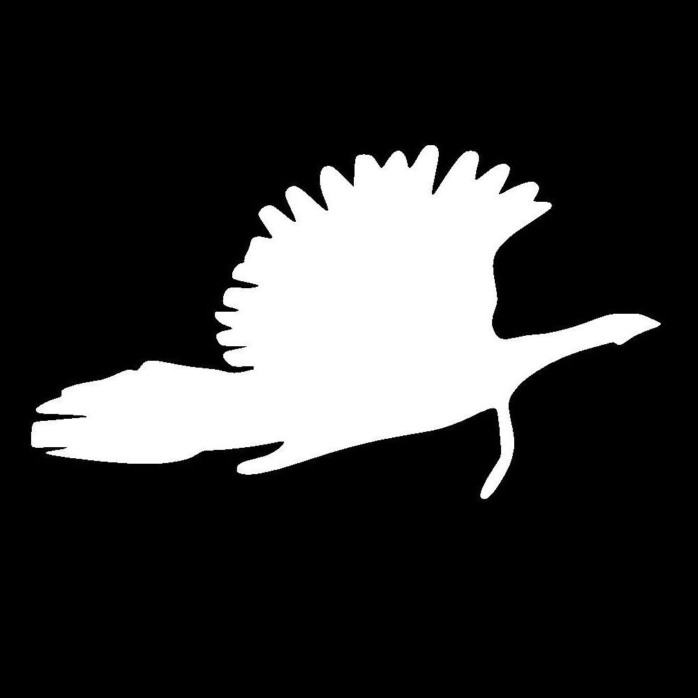 Flying Turkey Silhouette