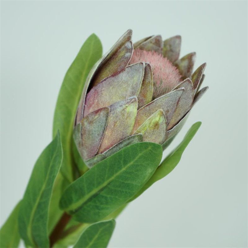 FauxProtea Single Stem 18.9 Simulation Putia Flowers Wedding/Home Decor ...
