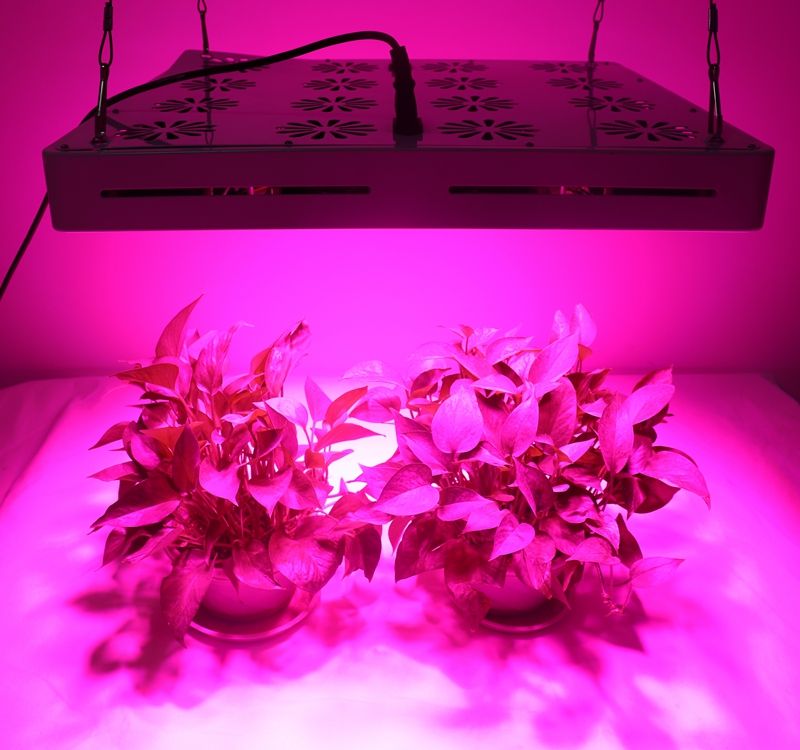 2400W COB LED Grow Light AC110V AC220V Full Spectrum 20*150W Chip Grow ...