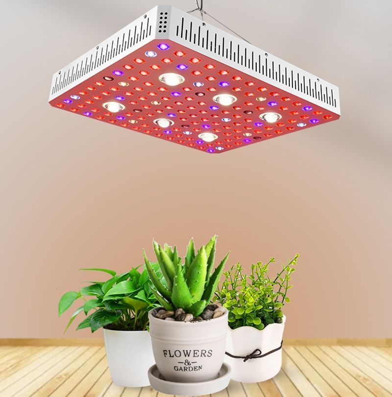 High Quality 3000W 2000w 1000w Full Spectrum LED Grow Light Red/Blue ...