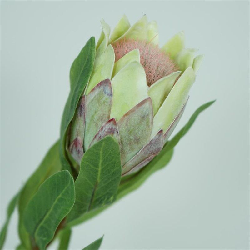 FauxProtea Single Stem 18.9 Simulation Putia Flowers Wedding/Home Decor ...
