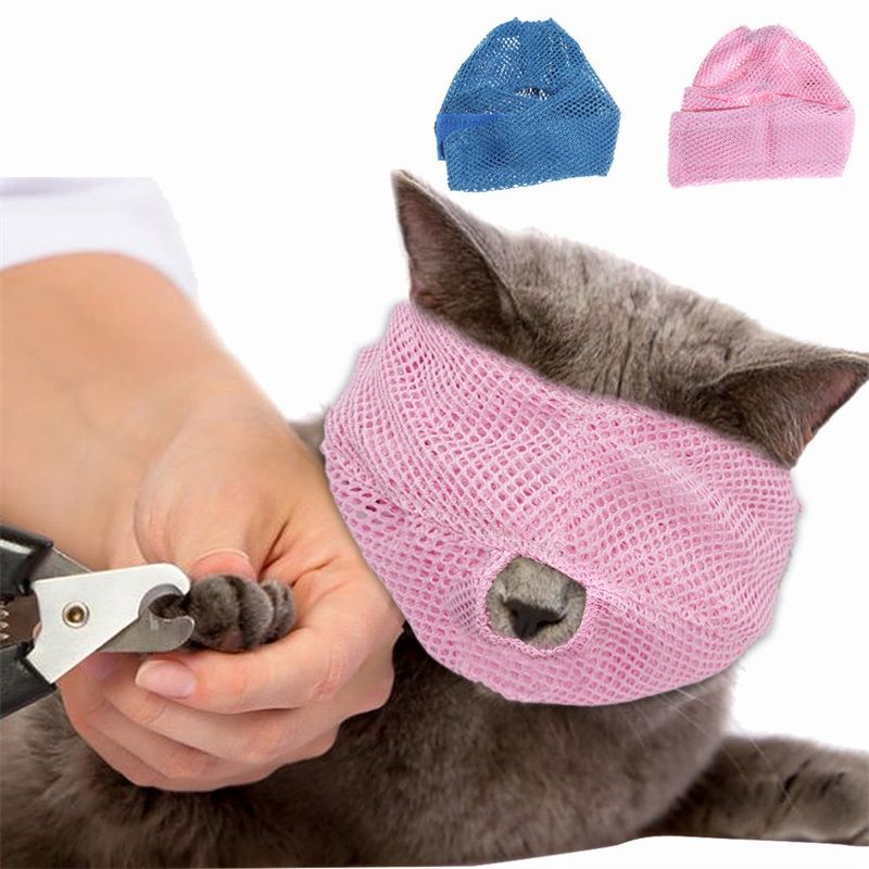 Cat muzzle ball - mumumystery