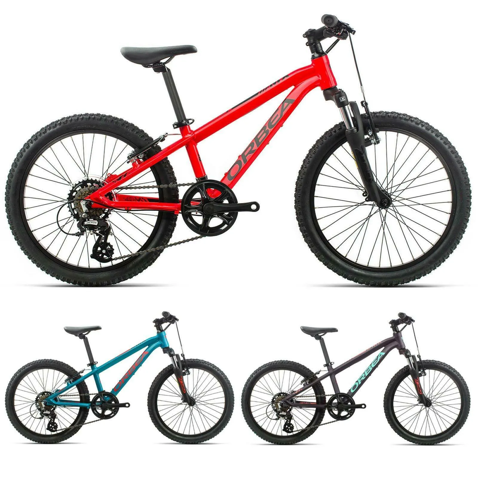 Orbea Mx 50 Roja | ppgbbe.intranet.biologia.ufrj.br