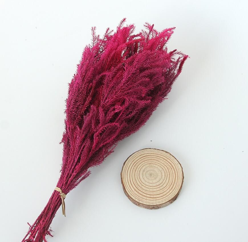 Preserved Flower Bundles: Lycopodium Japonicum Branch Wedding ...