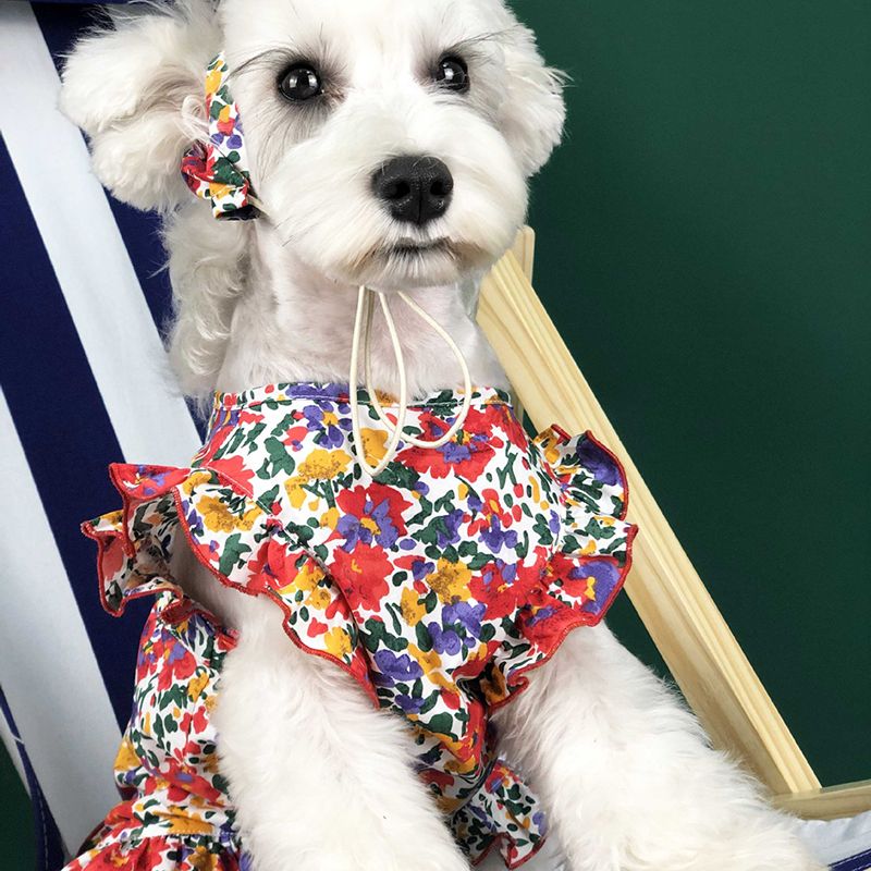 Are Dogs Allowed At Princess Place