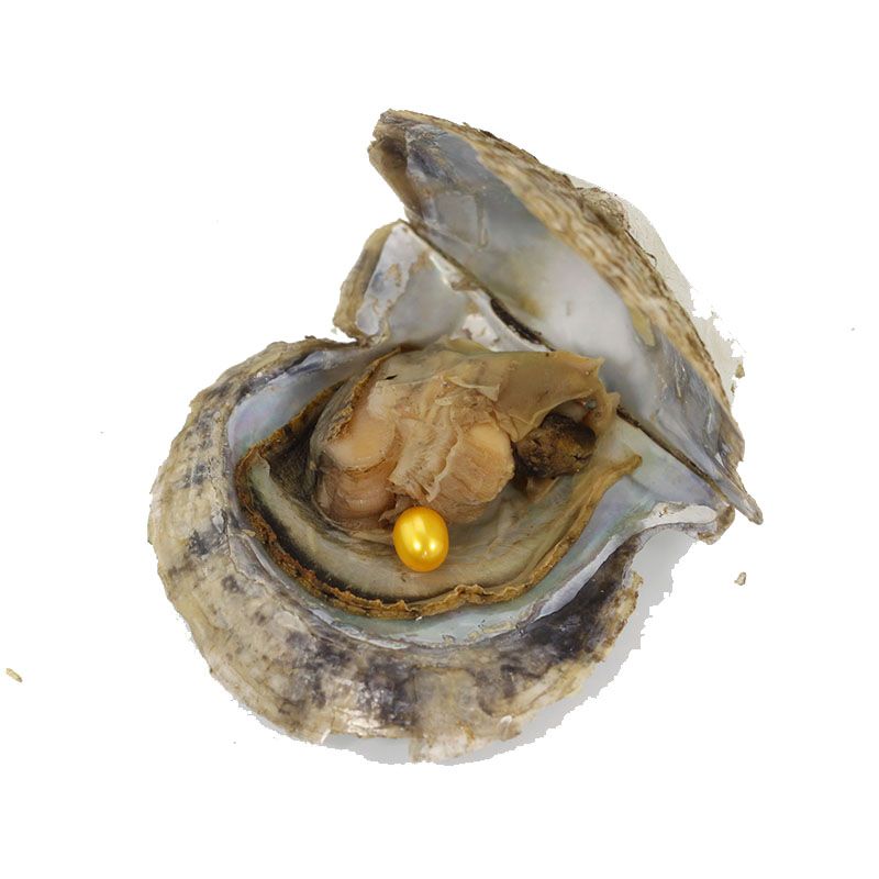 Compre Ostras De Perlas Amarillas Perlas De Colores En 1 Ostra Piezas ...
