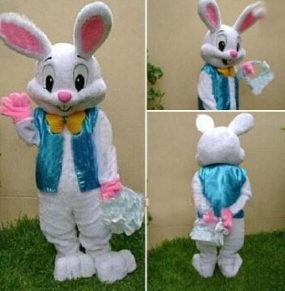 Professional Easter Bunny Mascot Costume Bugs Rabbit Hare Adult Fancy ...