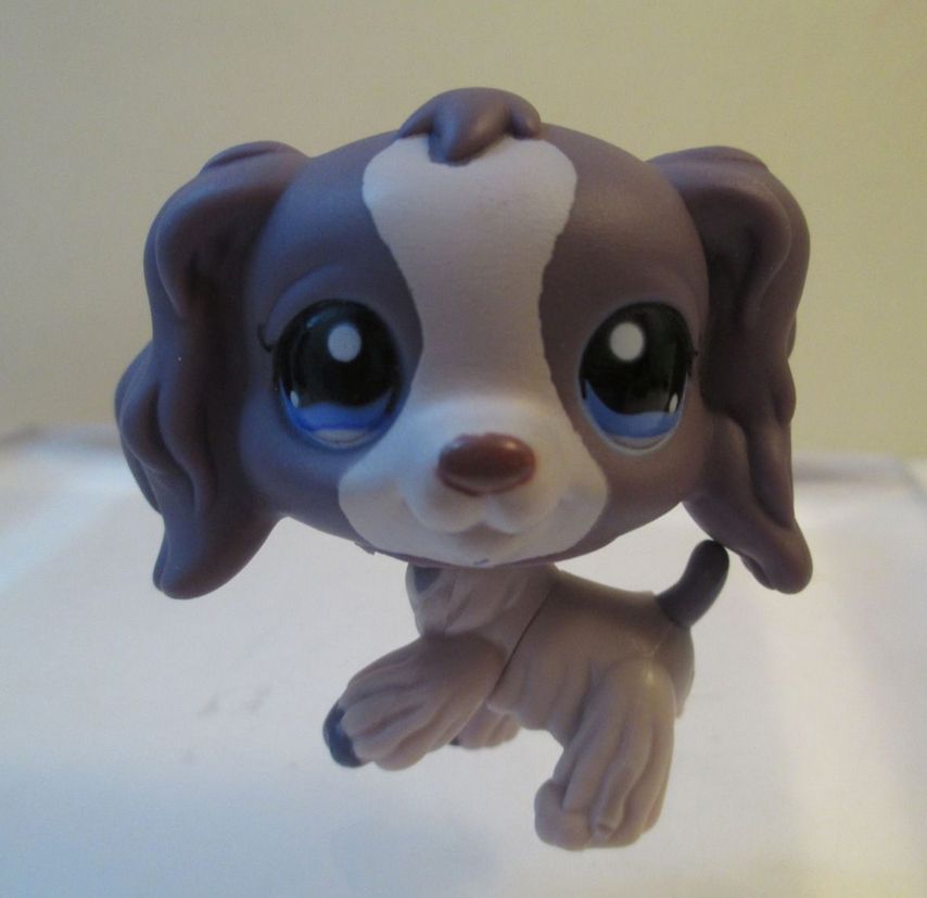 2016 #1209 Littlest Pet Shop Purple Cocker Spaniel Dog Blue Dot Eyes ...