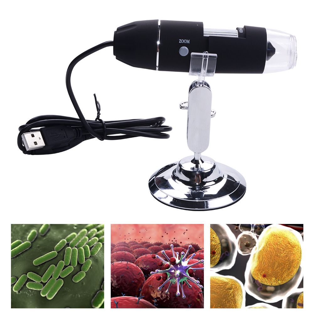 500X Handheld USB Digital Microscope Endoscope Loupe Magnifier Black ...