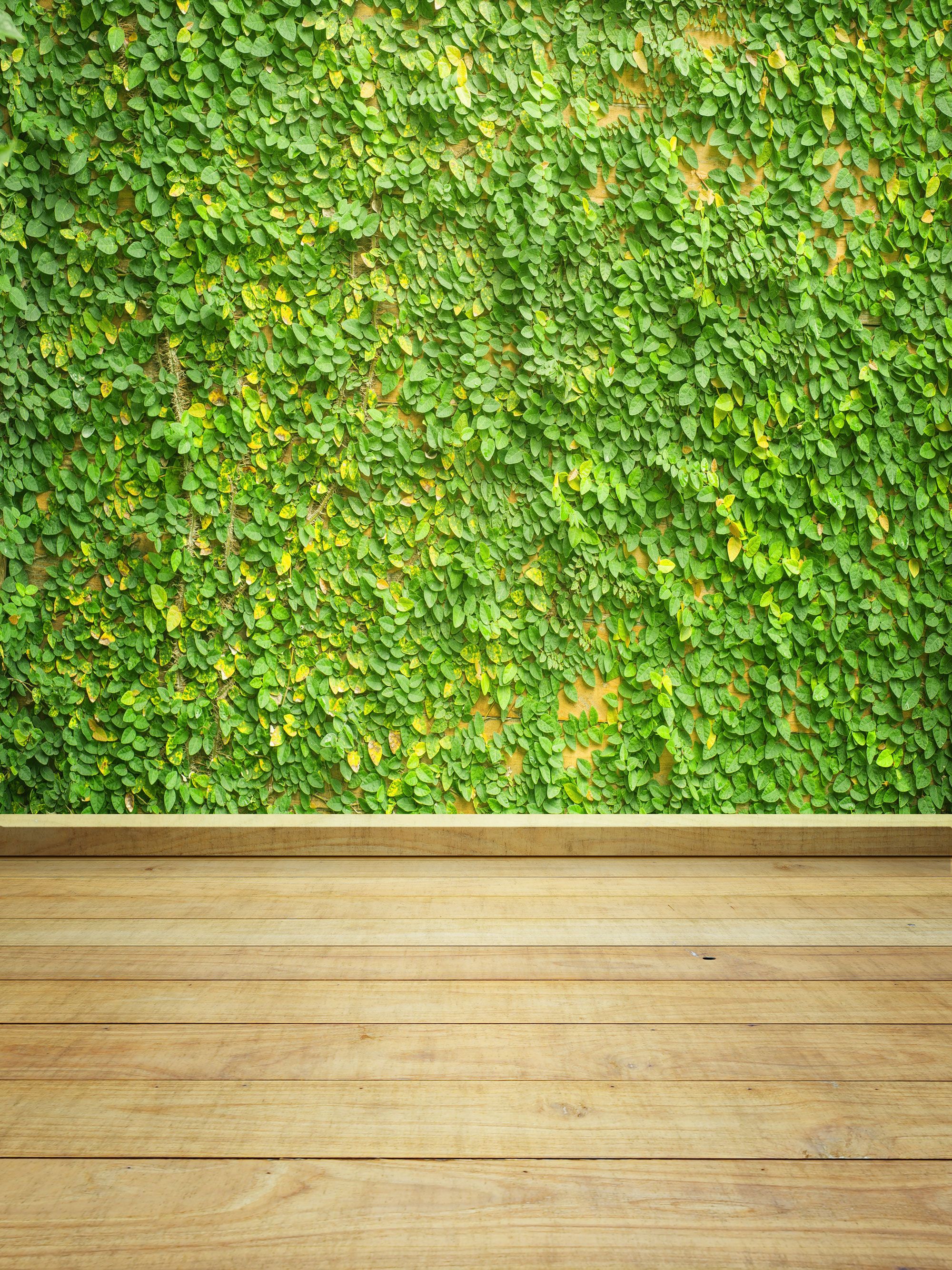 Greenery wall backdrop - stealthvere